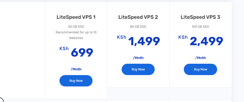 A Simple Guide On LiteSpeed VPS Kenya [Cost and Providers]