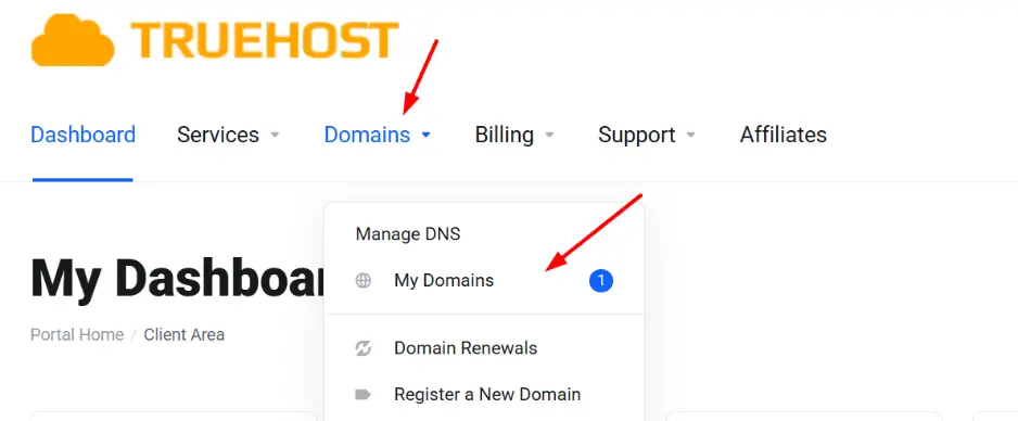 How to Renew a Domain Name | Truehost
